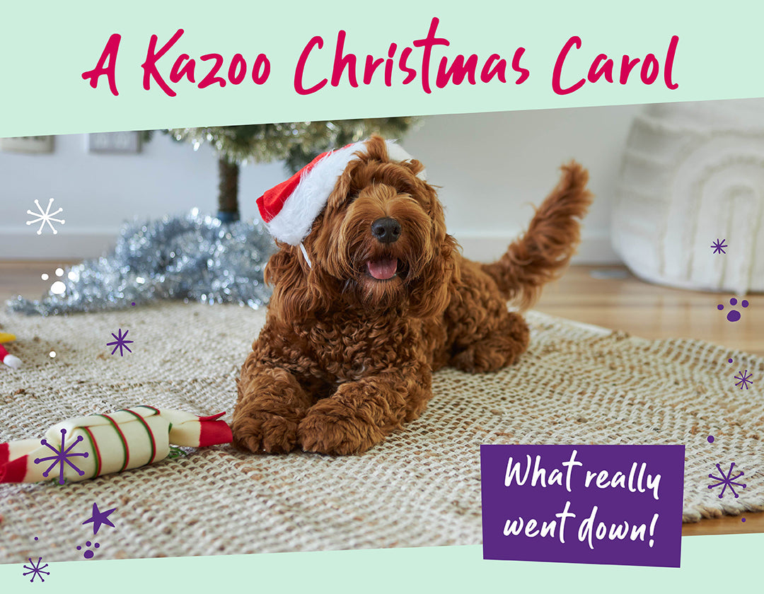 A Kazoo Christmas Carol – Kazoo Pet Co