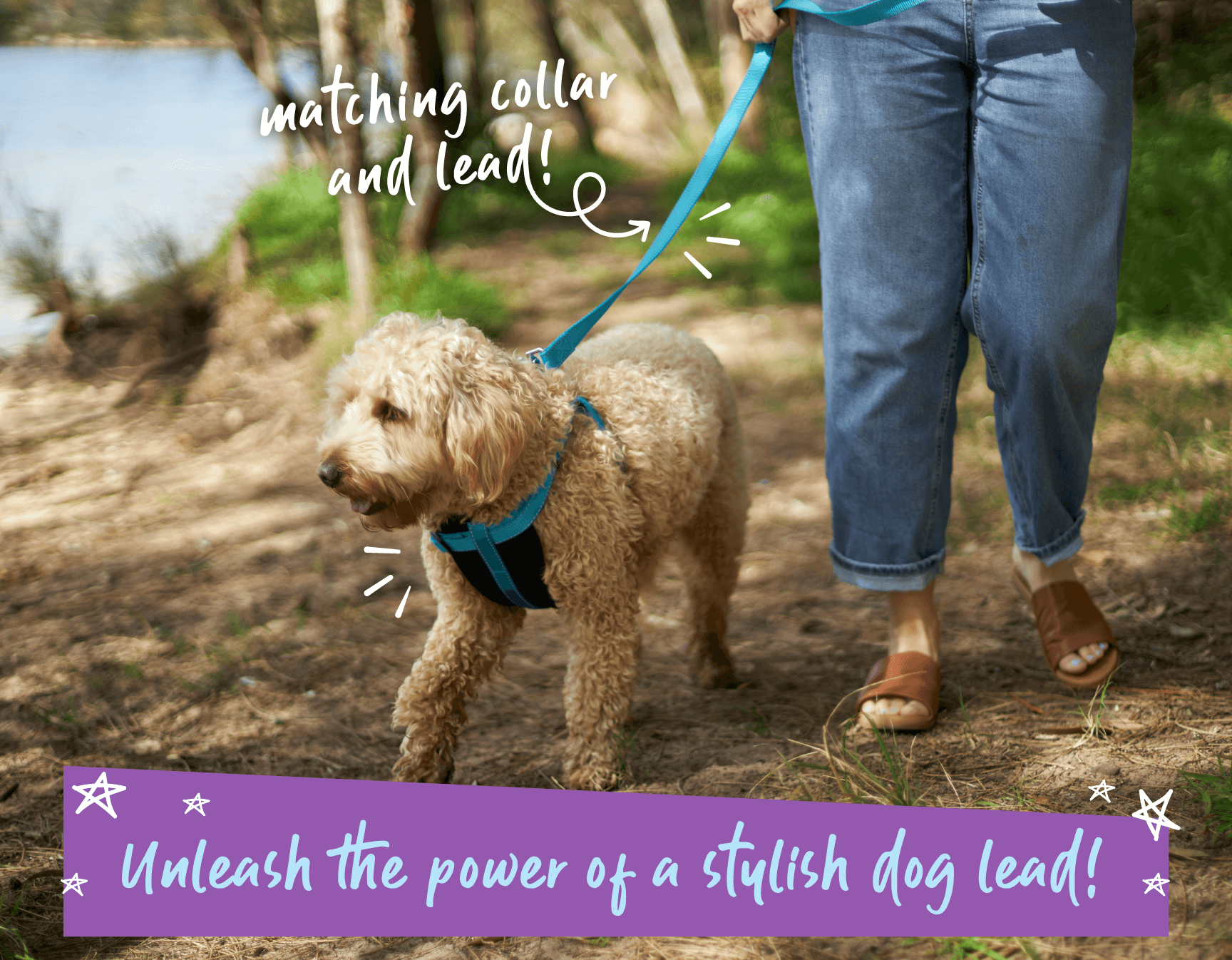 Unleash the Power of Stylish Doggie Activewear – Kazoo Pet Co