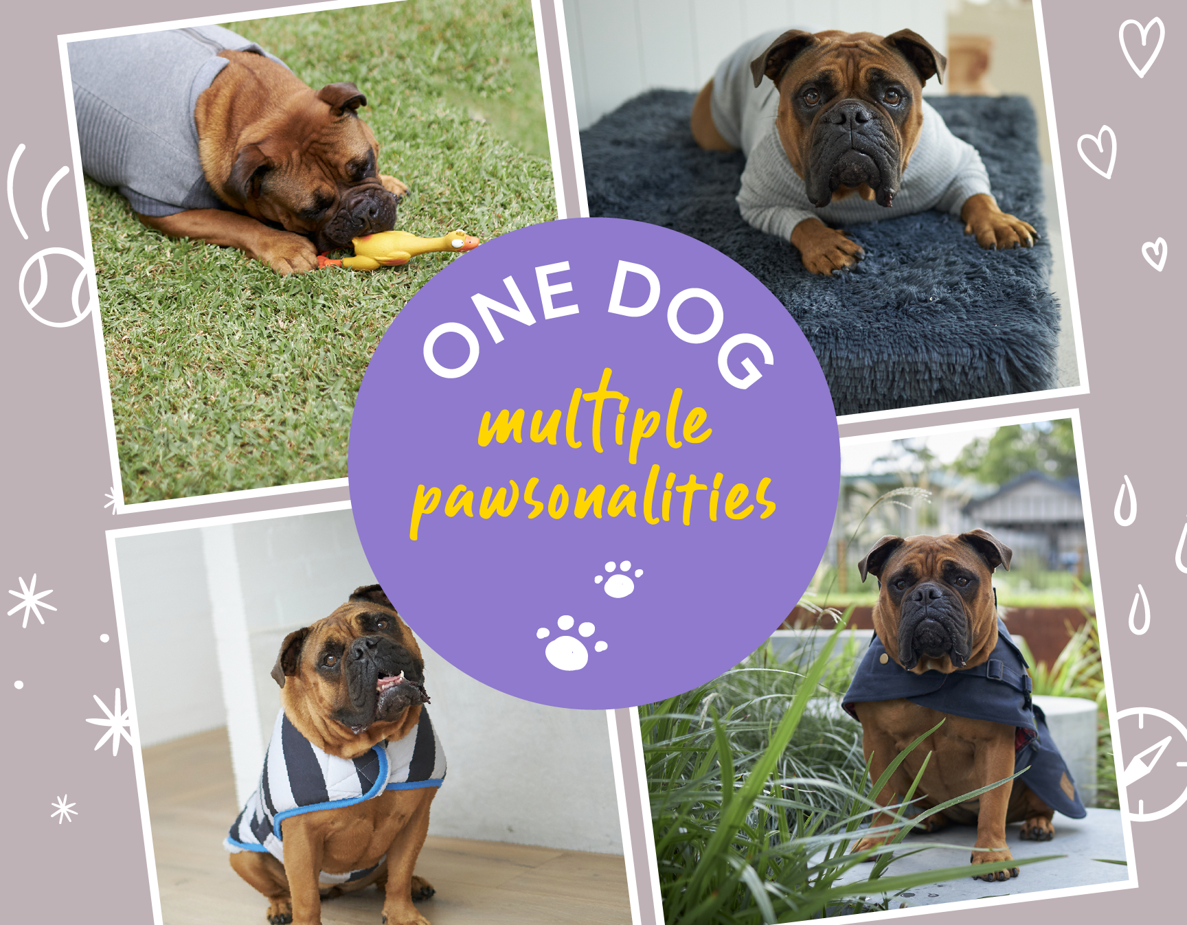 One Dog: Multiple Pawsonalities 🐶 – Kazoo Pet Co