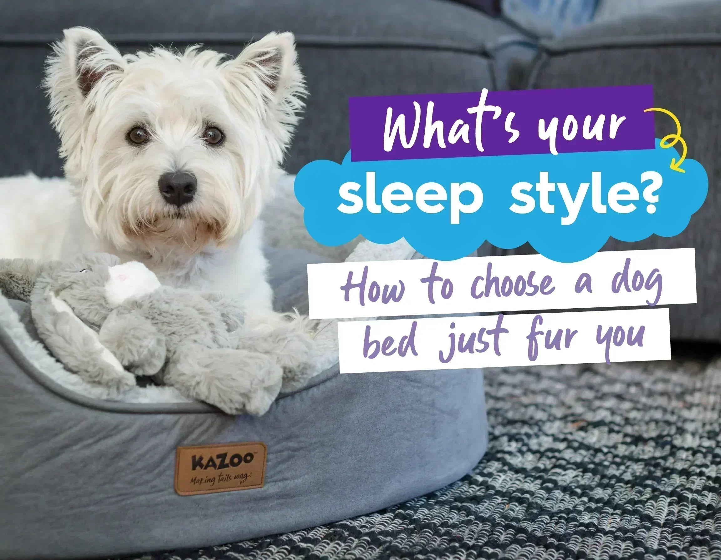 What's Your Sleep Style? 🤔 How To Choose a Dog Bed Just Fur You ...