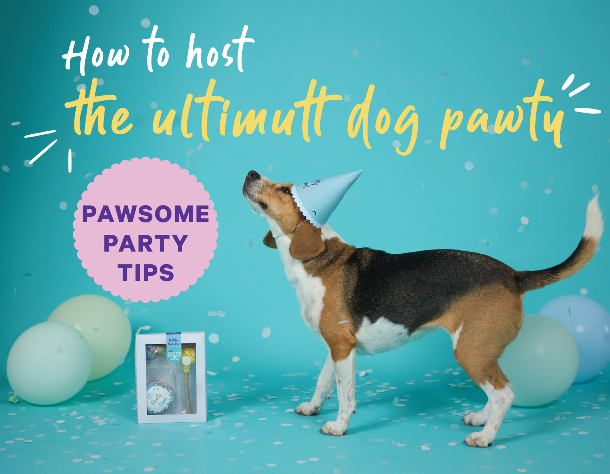 The Ultimutt Guide to Birthday Parties for Dogs – Kazoo Pet Co