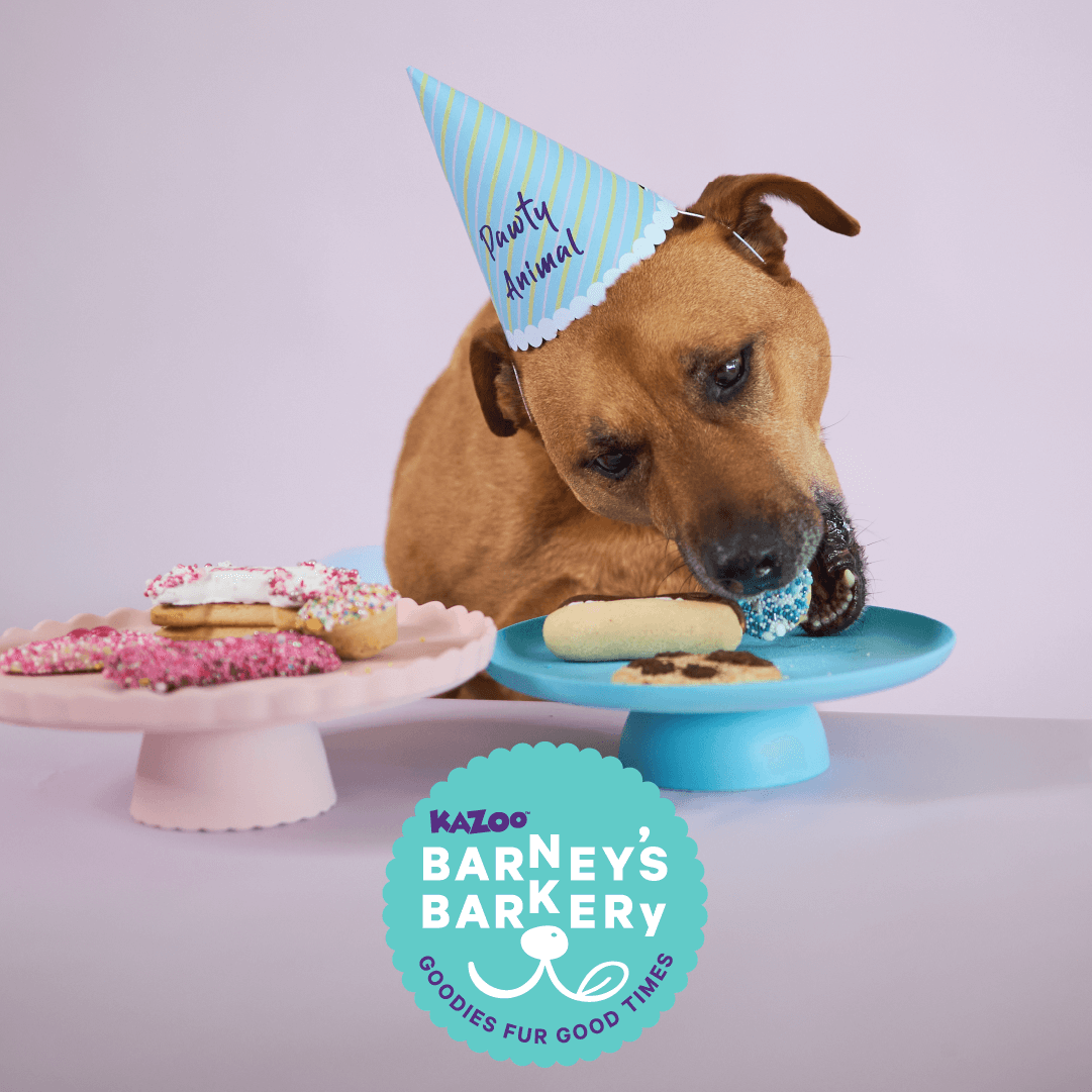 Dog Birthday Cakes & Treats | Kazoo Pet Co