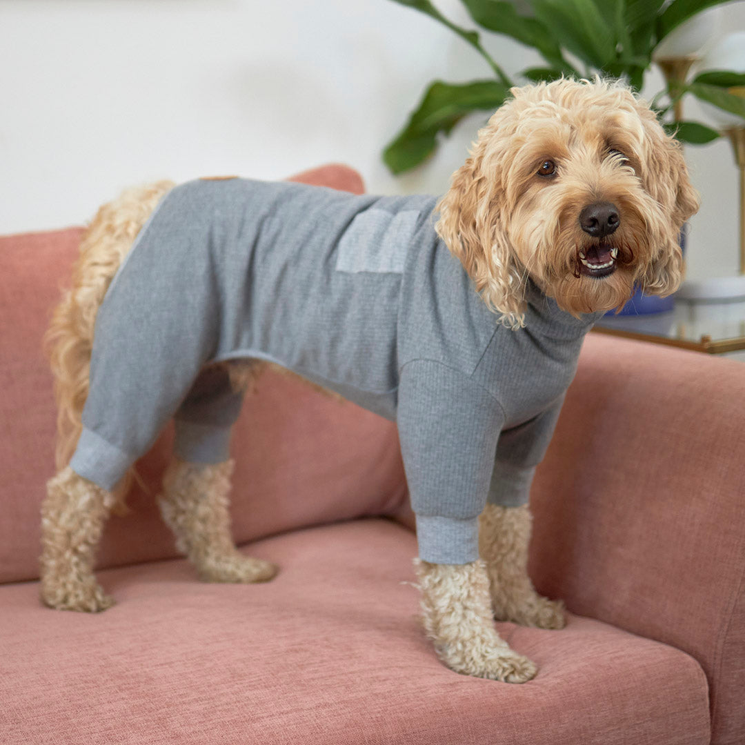 Dog Pyjamas – Kazoo Pet Co
