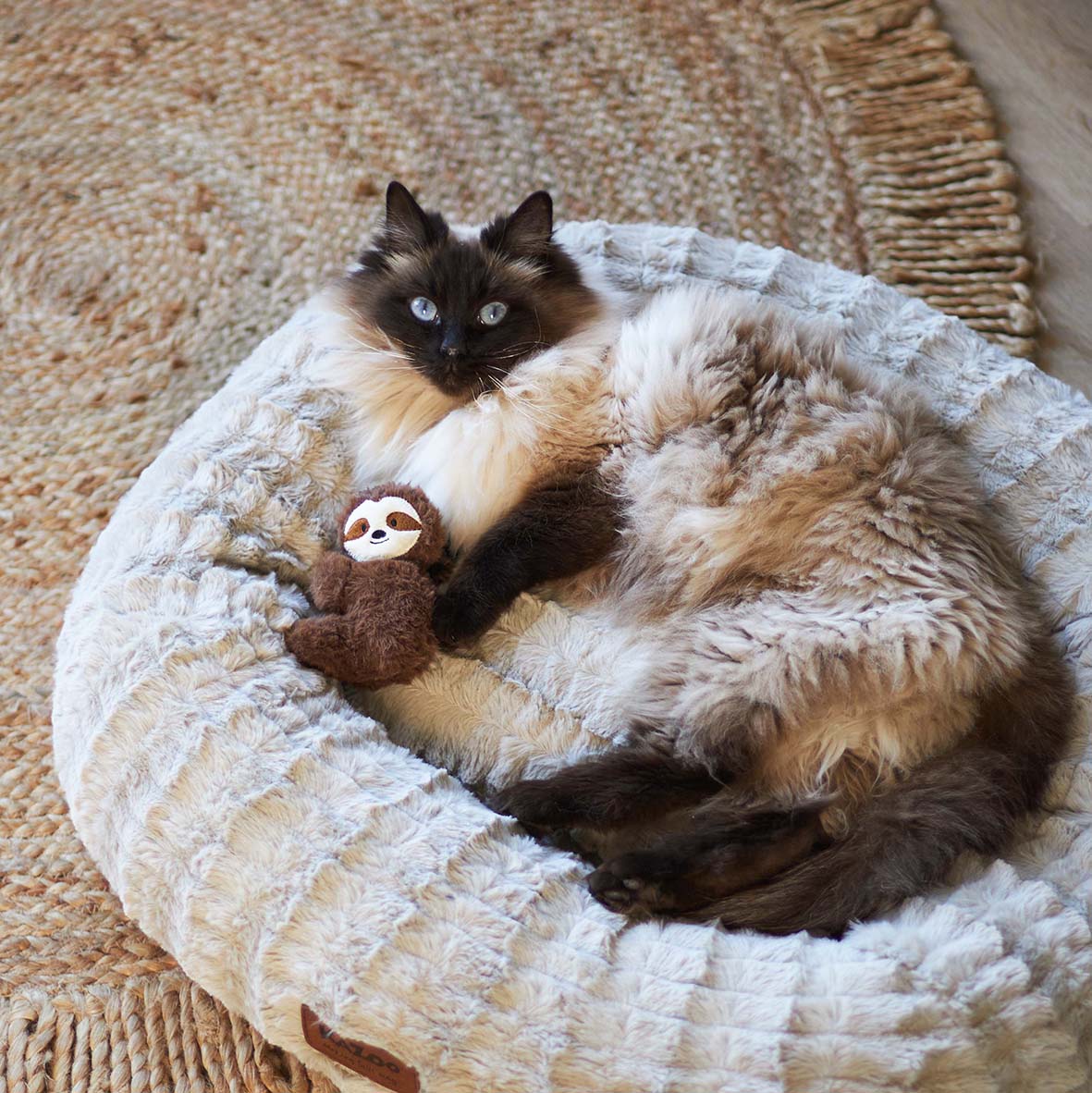 Catnip & Silvervine Cat Toys | Kazoo Pet Co