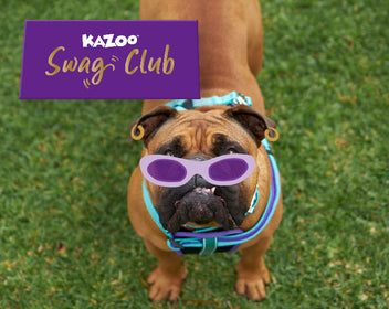 Not So Secret Admirers… Our Pet's Guide To The 5 Love Languages – Kazoo ...