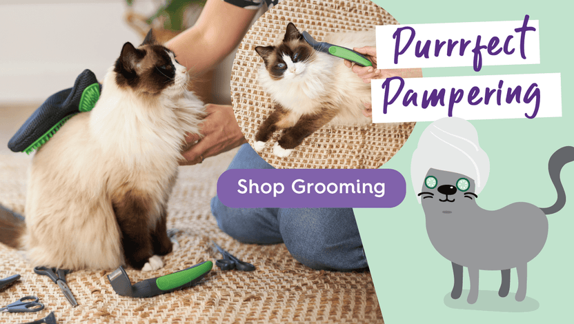 Cat | The Purrfect Place to Shop Online for Cats | Kazoo Pet Co – Page 5