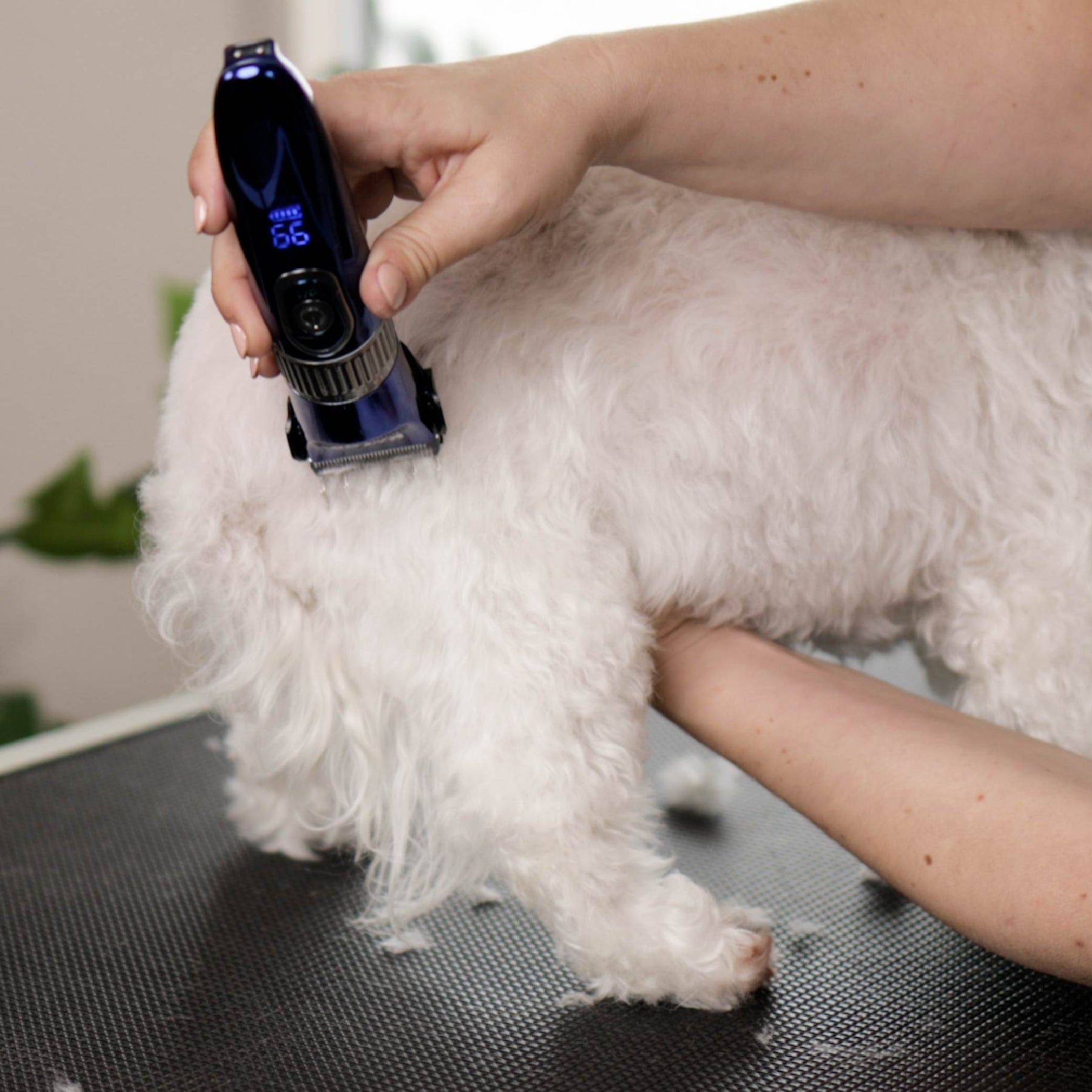 Deluxe Waterproof Dog Clipper – Kazoo Pet Co