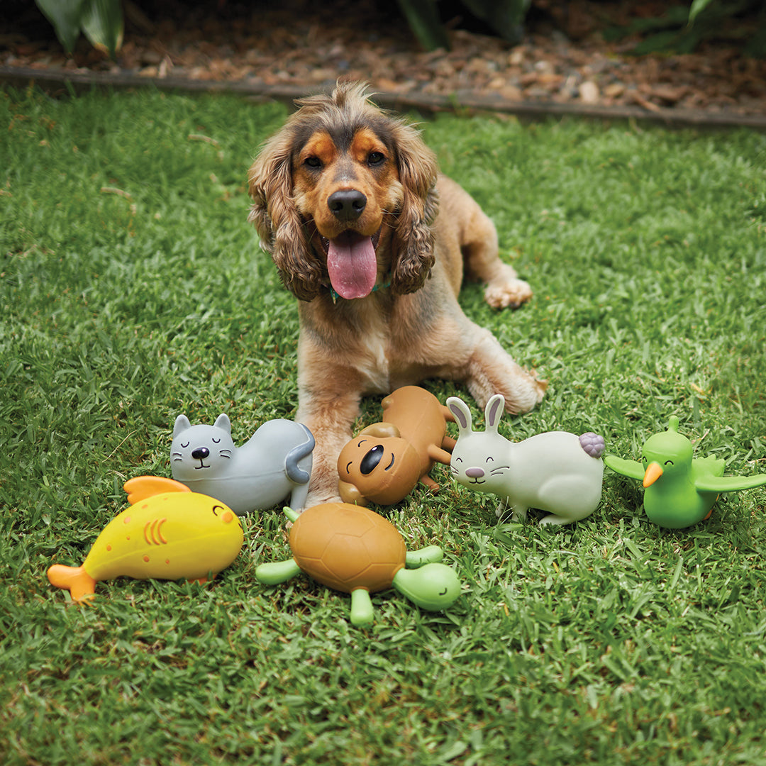 Barney the Dog Toy - Medium – Kazoo Pet Co