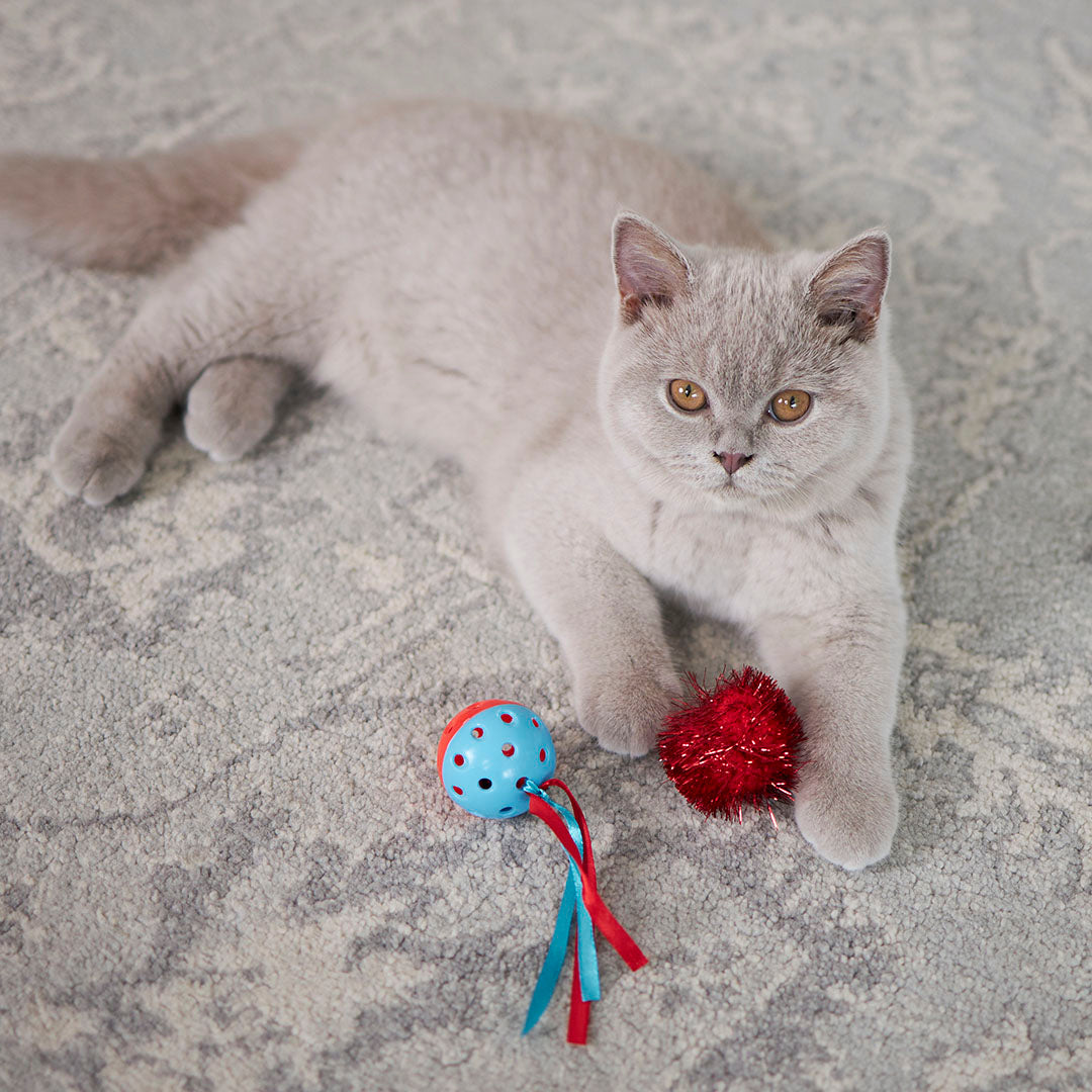 Kitty Streamer Ball – Kazoo Pet Co