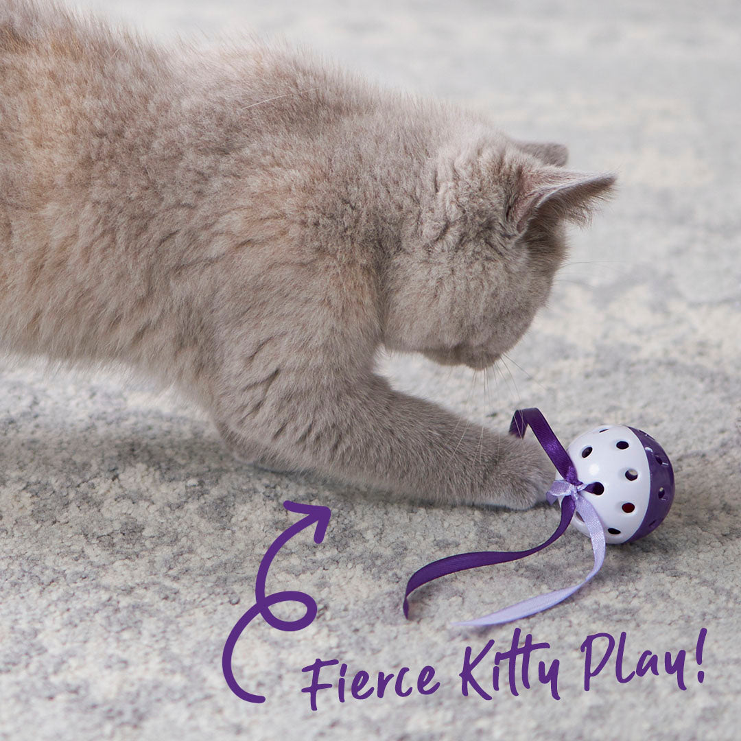 Kitty Streamer Ball – Kazoo Pet Co