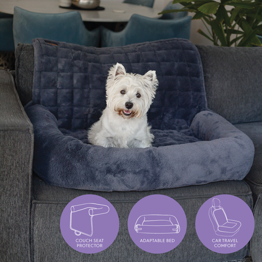 All Products – Kazoo Pet Co