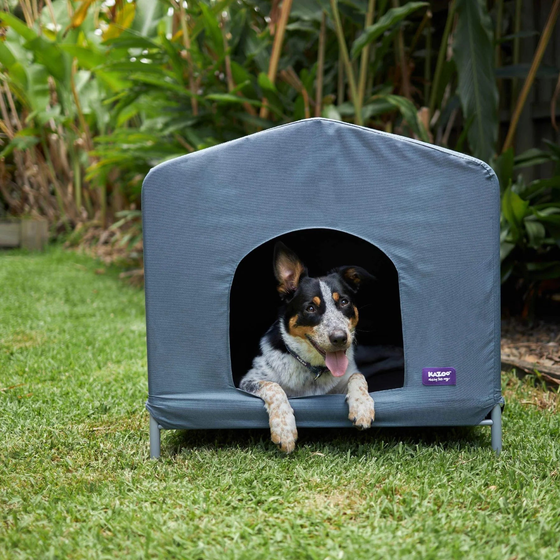Cabana Dog House - Cobalt – Kazoo Pet Co