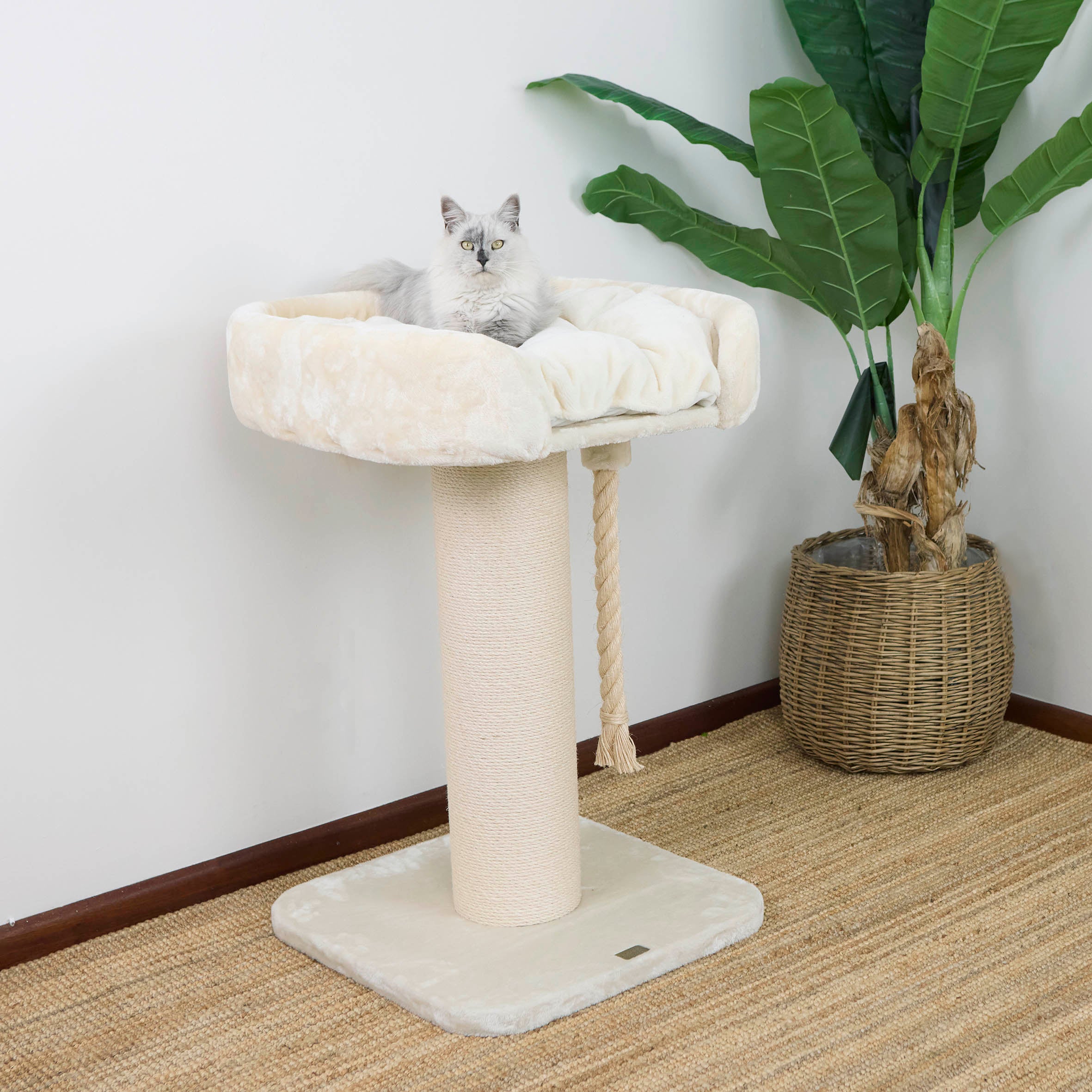 High Bed Cat Scratch Post - Cream – Kazoo Pet Co