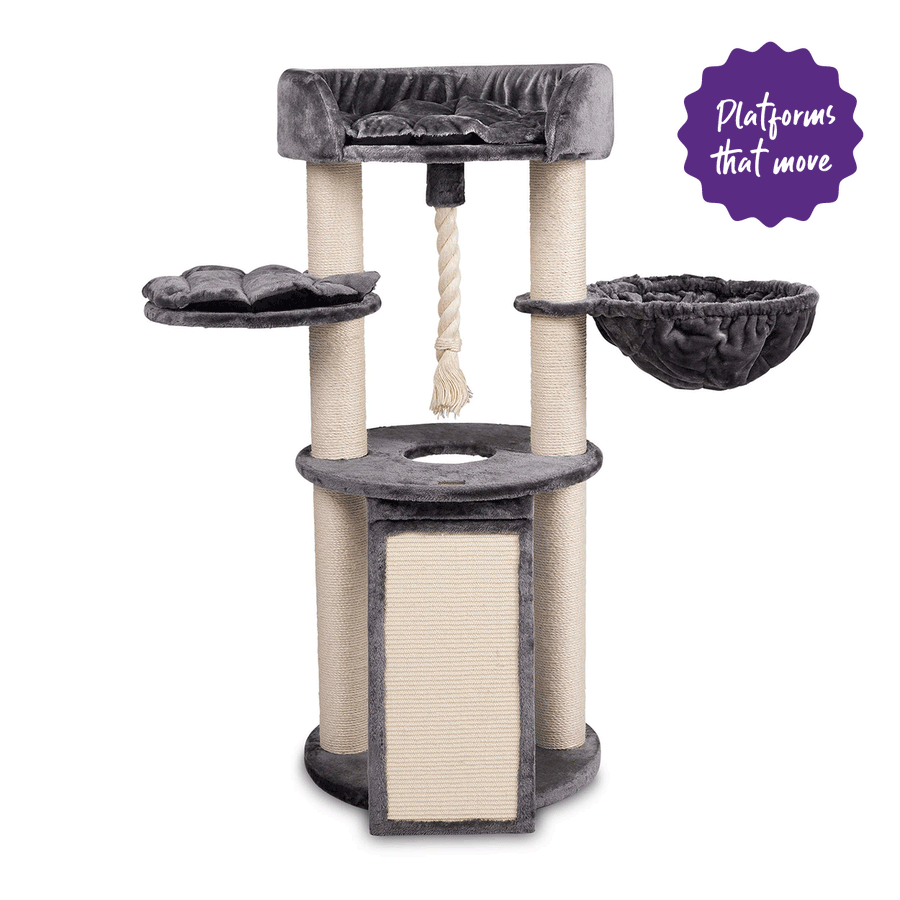 Kitty Scratch & Sleep Post - Cream & Charcoal – Kazoo Pet Co