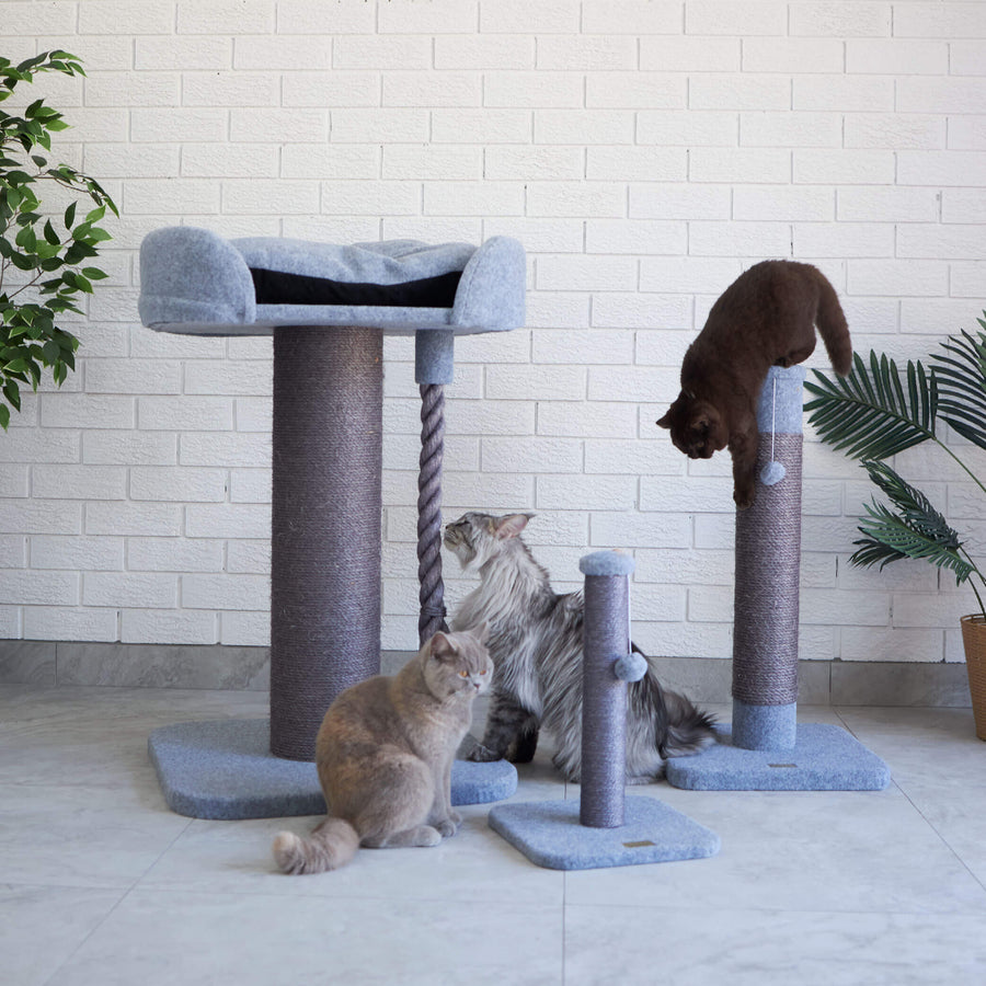 Cat Scratching Posts | Cat Trees & Towers | Kazoo Pet Co