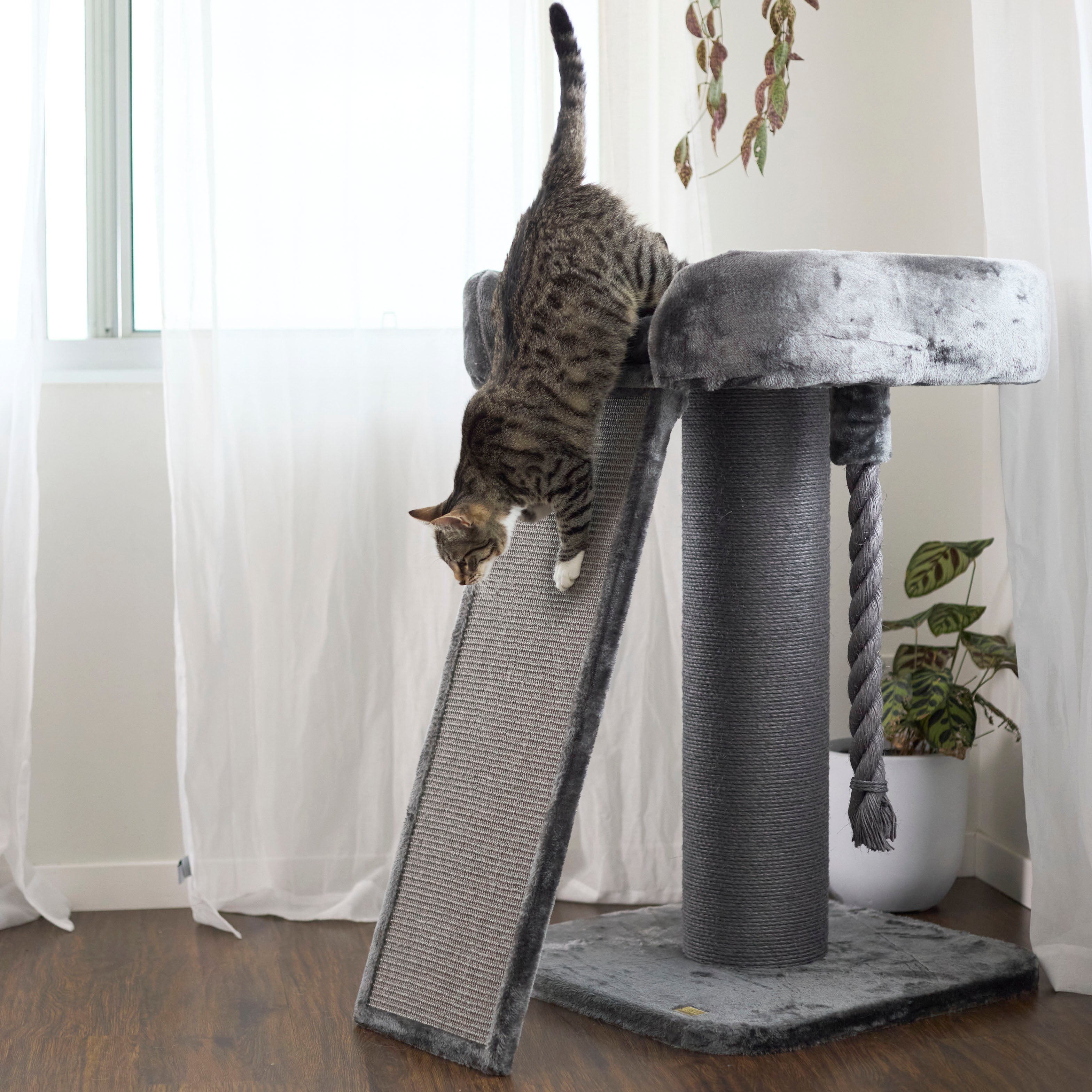 High Bed Cat Scratch Post with Ramp - Charcoal – Kazoo Pet Co