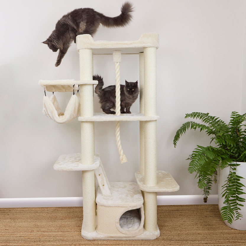 Wooden Cat Trees & Towers – Kazoo Pet Co