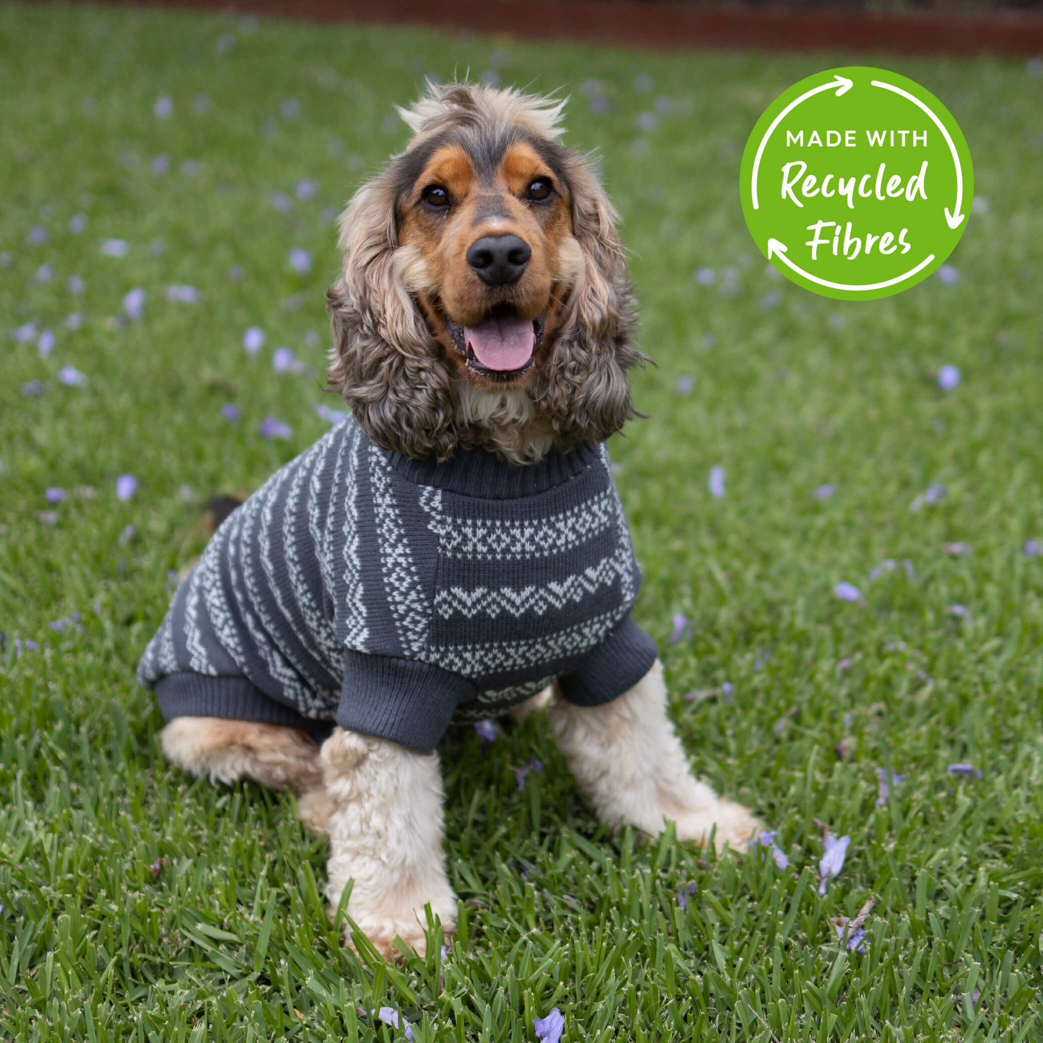 Kazoo Winter Wonder Dog Jumper – Kazoo Pet Co