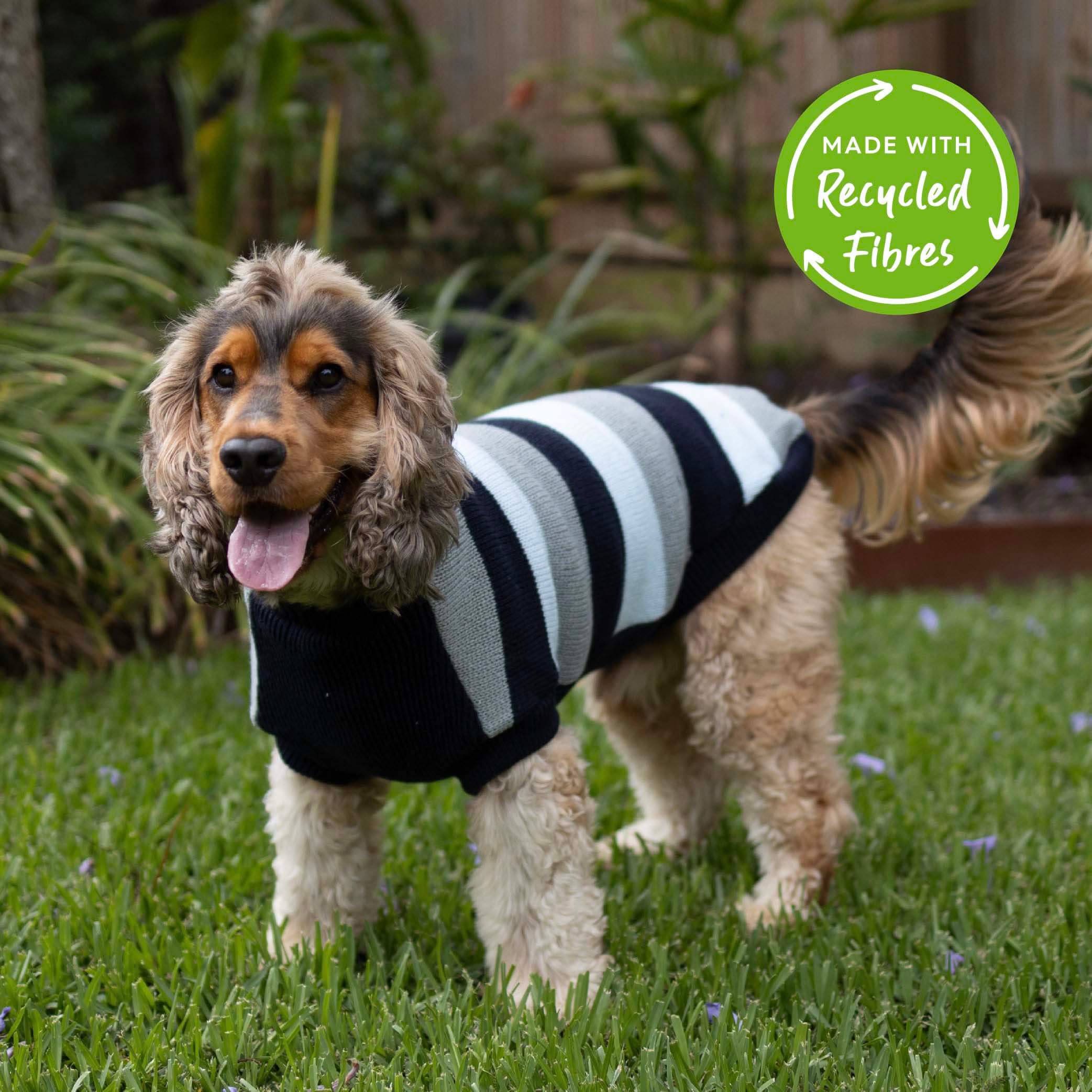 Chestie Dog Jumper - Blue – Kazoo Pet Co