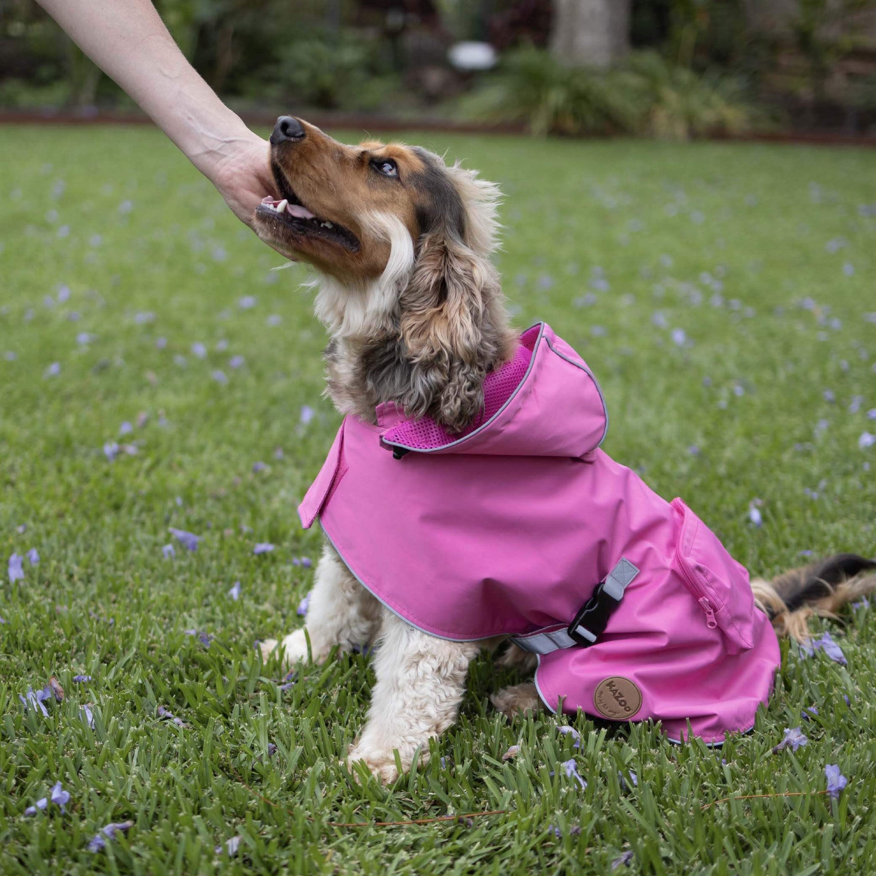 Rainy Days Dog Raincoat - Pink – Kazoo Pet Co