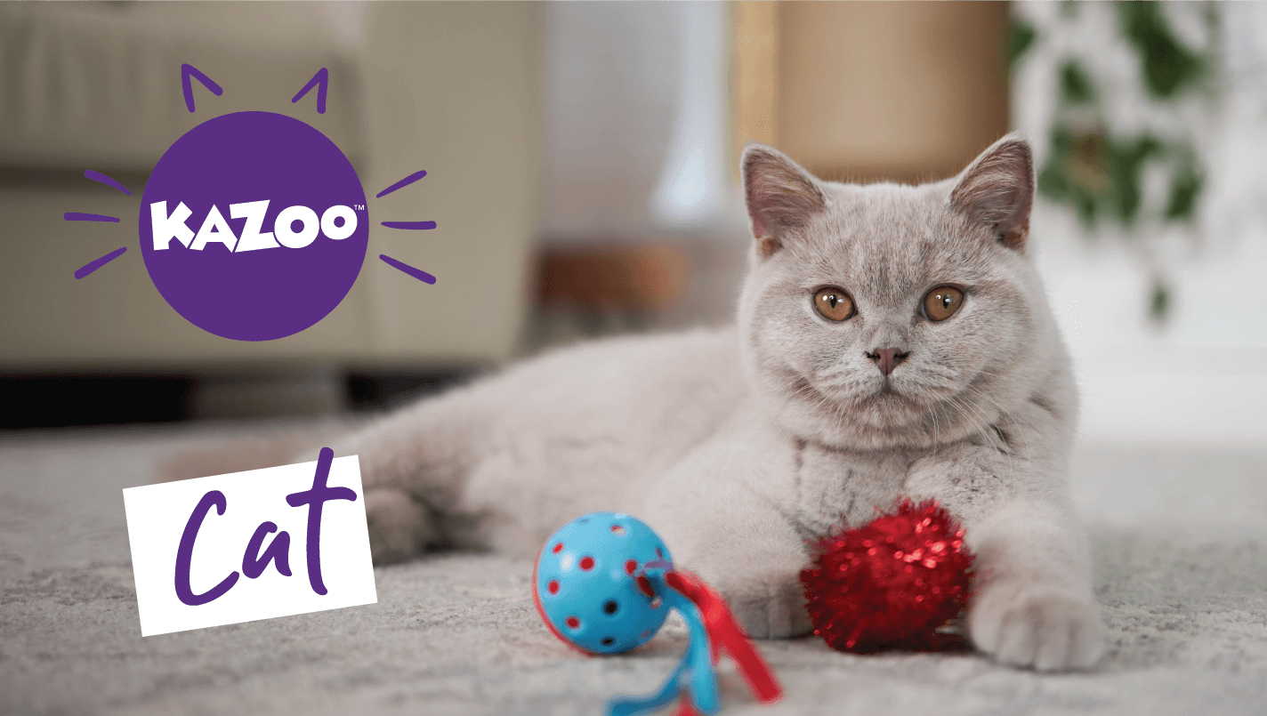 Cat | The Purrfect Place to Shop Online for Cats | Kazoo Pet Co