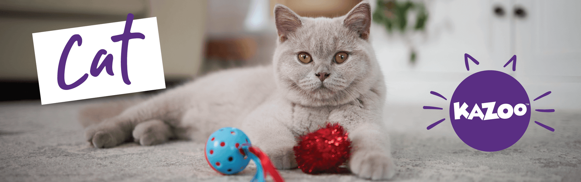 Cat | The Purrfect Place to Shop Online for Cats | Kazoo Pet Co