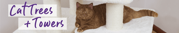 Cat Trees & Towers | Cat playgrounds that’s are up to scratch | Kazoo ...