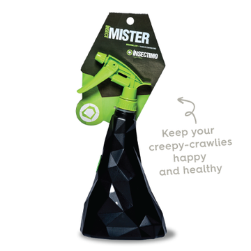 Insectimo Stick Insects – Kazoo Pet Co