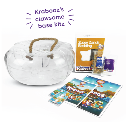 Hermit Crab Base Enclosure Kit - Small – Kazoo Pet Co