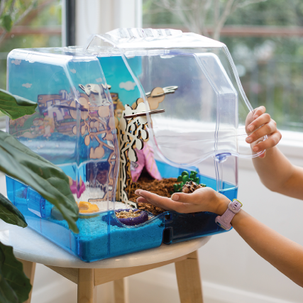 Hermit Crab Enclosure - Medium – Kazoo Pet Co