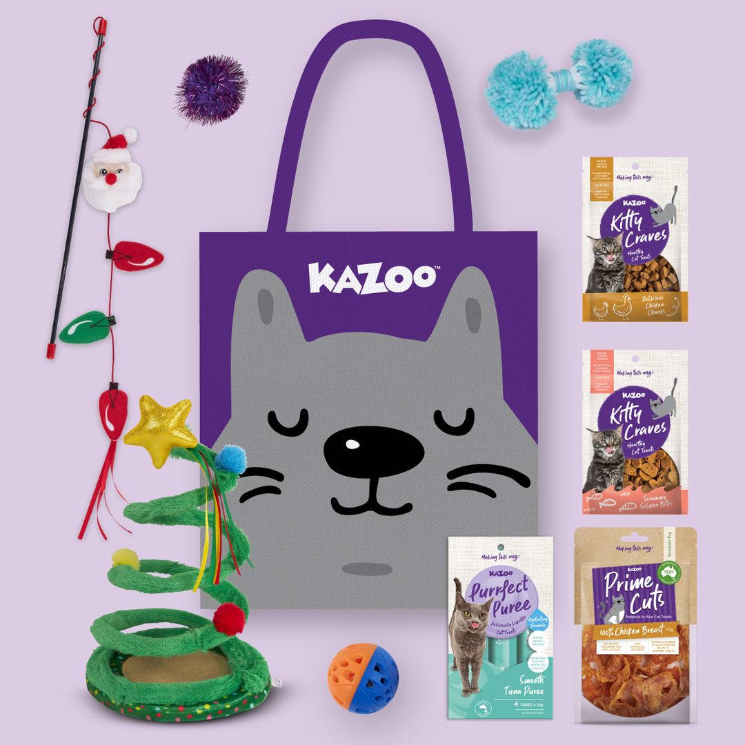Christmas Cat Gift Bag – Kazoo Pet Co