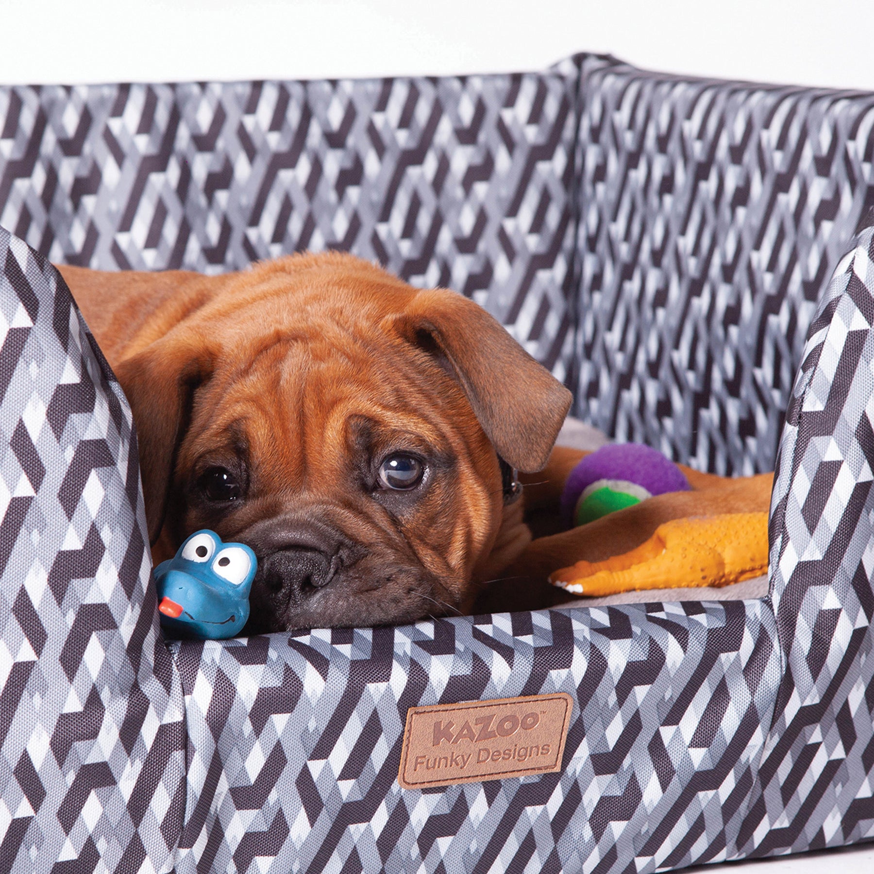 Sneaky Snake Squeaky Dog Toy – Kazoo Pet Co