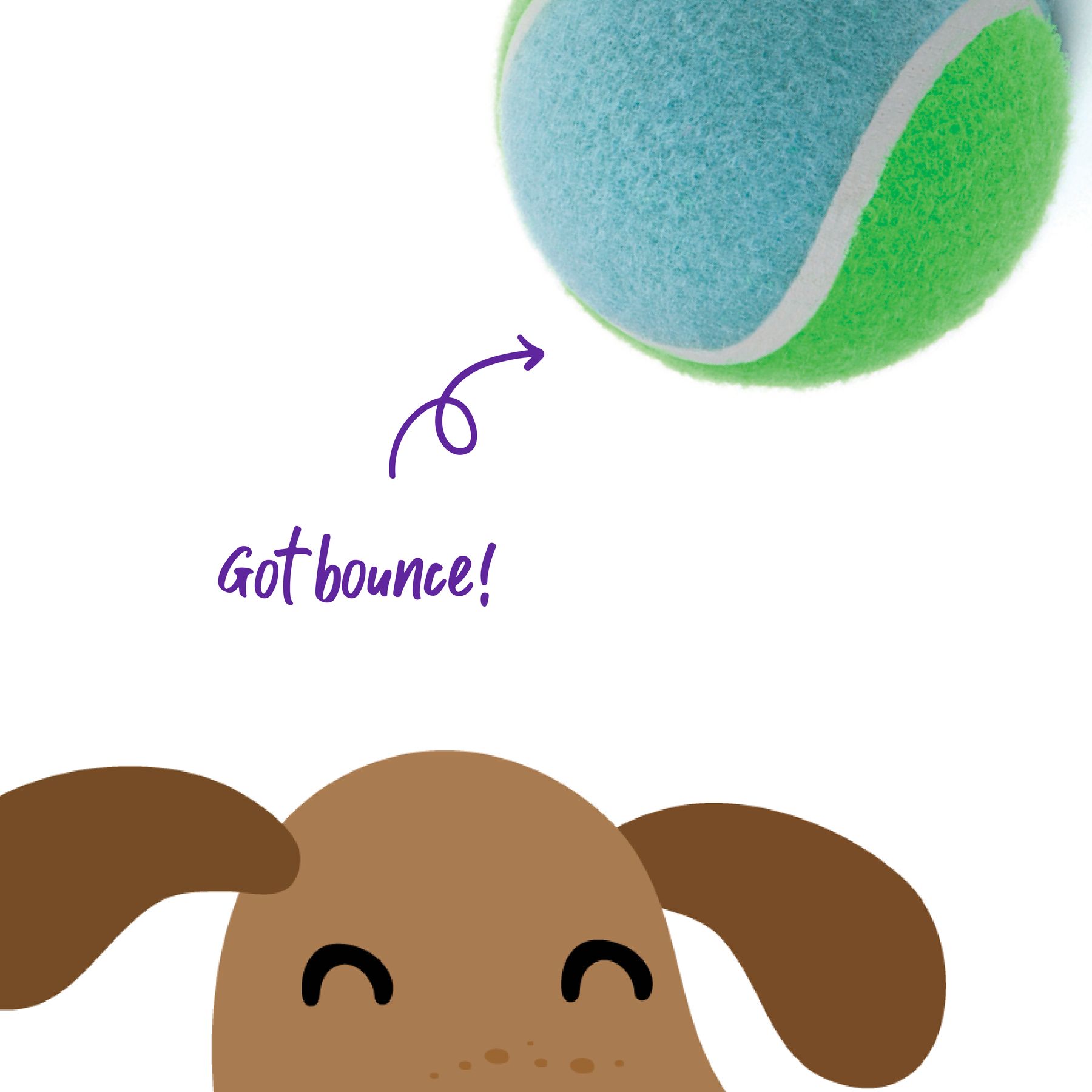 Puncture Proof Tennis Ball Dog Toy – Kazoo Pet Co