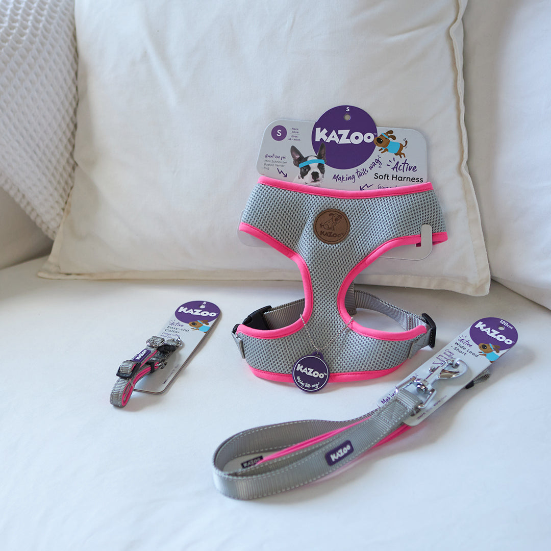 Active Dog Lead - Silver & Pink – Kazoo Pet Co