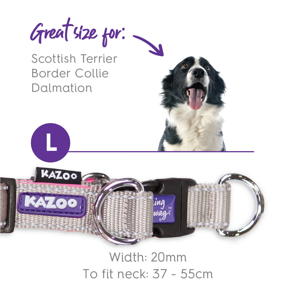 Active Easy-clip Dog Collar - Silver & Pink – Kazoo Pet Co