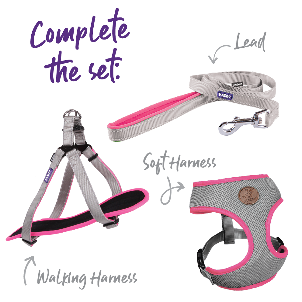 Active Easy-clip Dog Collar - Silver & Pink – Kazoo Pet Co