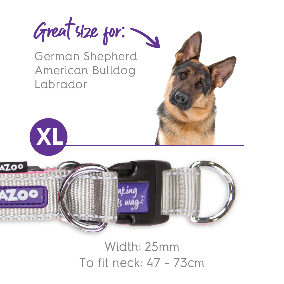 Active Easy-clip Dog Collar - Silver & Pink – Kazoo Pet Co