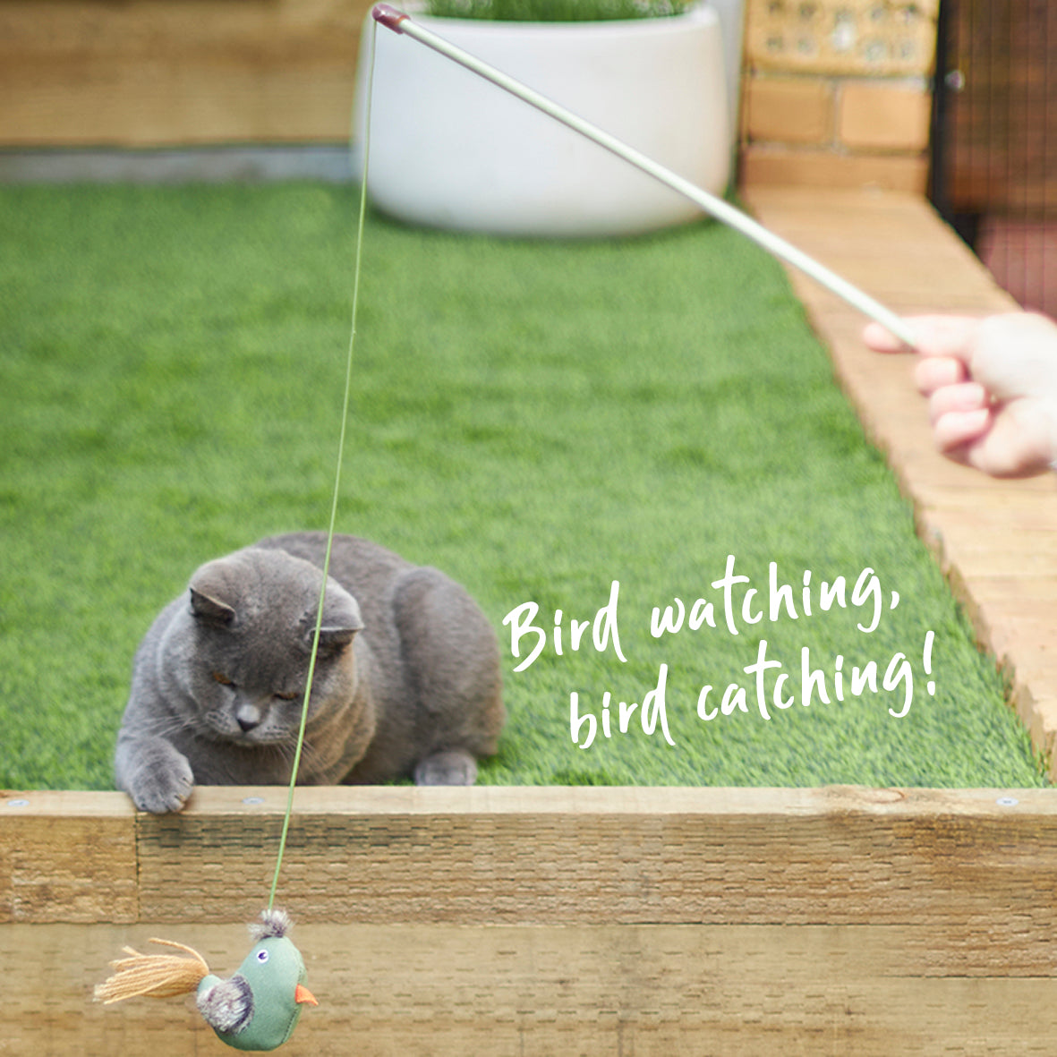 Eco-Friendly Fantail Bird Wand with catnip and recycled materials ...