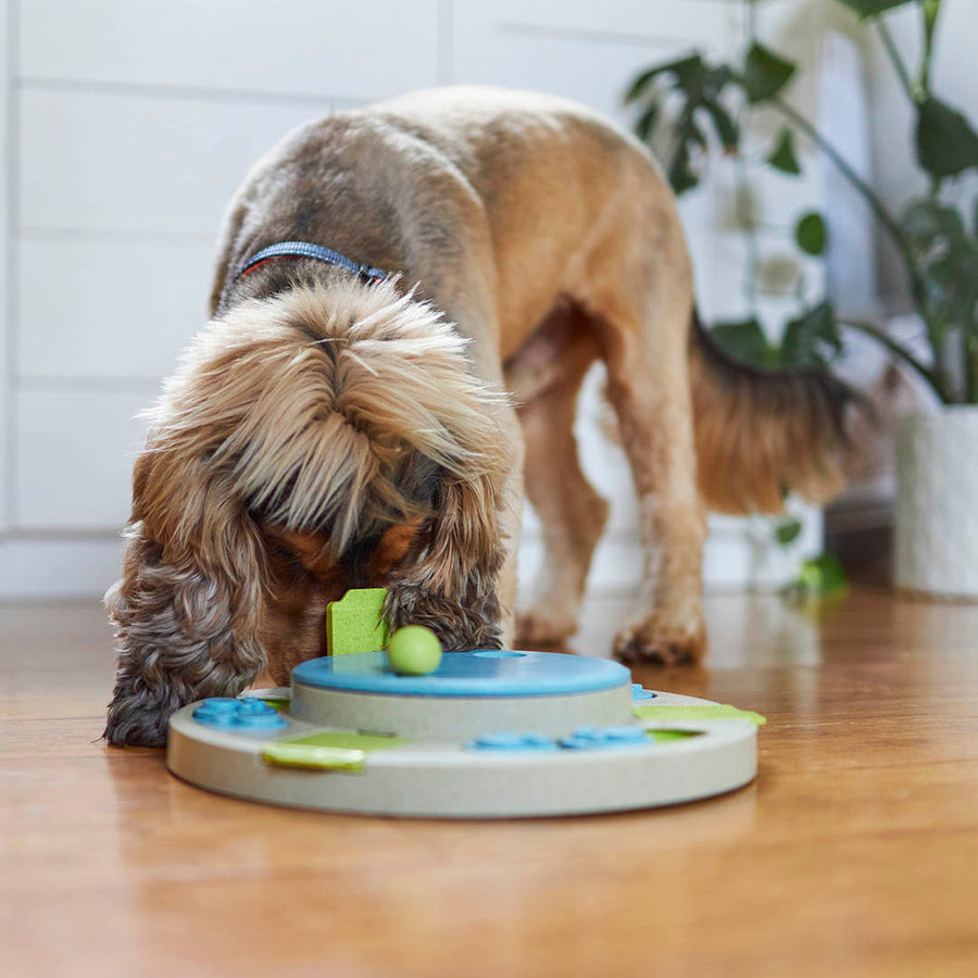 Circle Slider Interactive Dog Puzzle For Play – Kazoo Pet Co