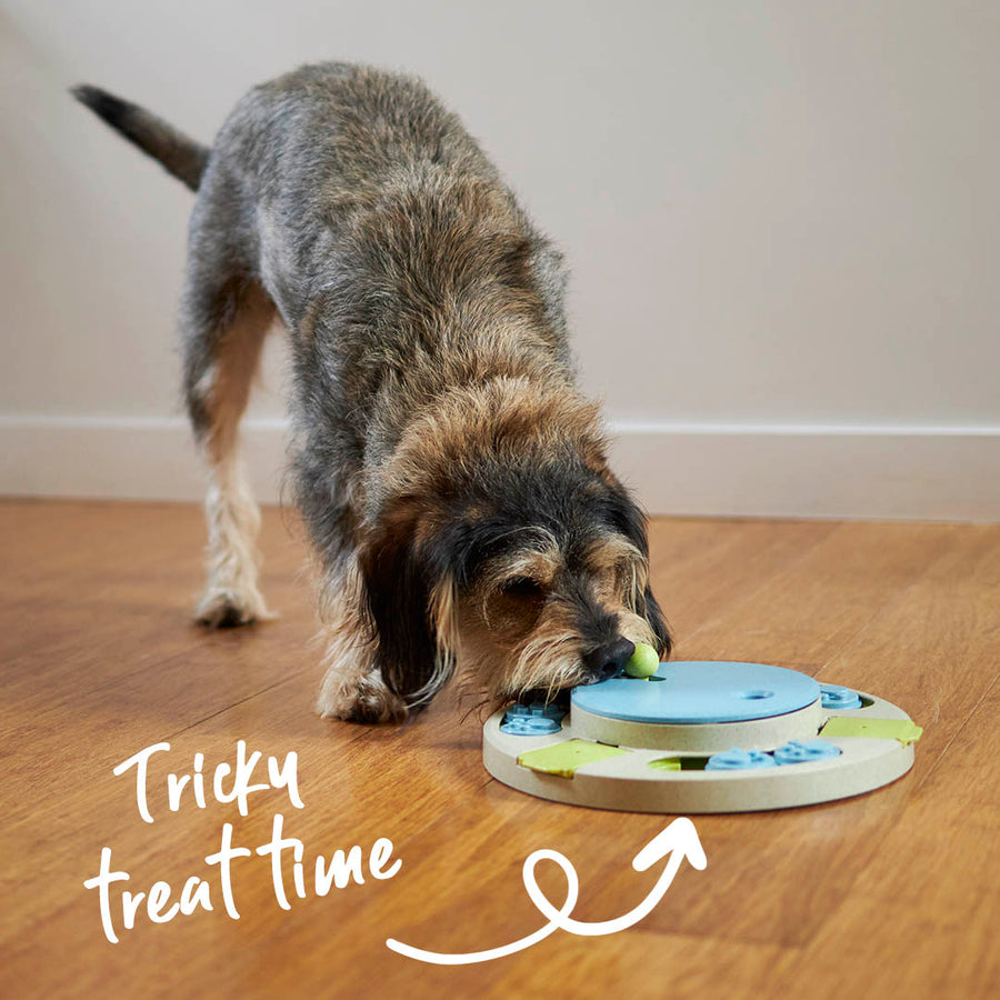 Circle Slider Interactive Dog Puzzle For Play – Kazoo Pet Co