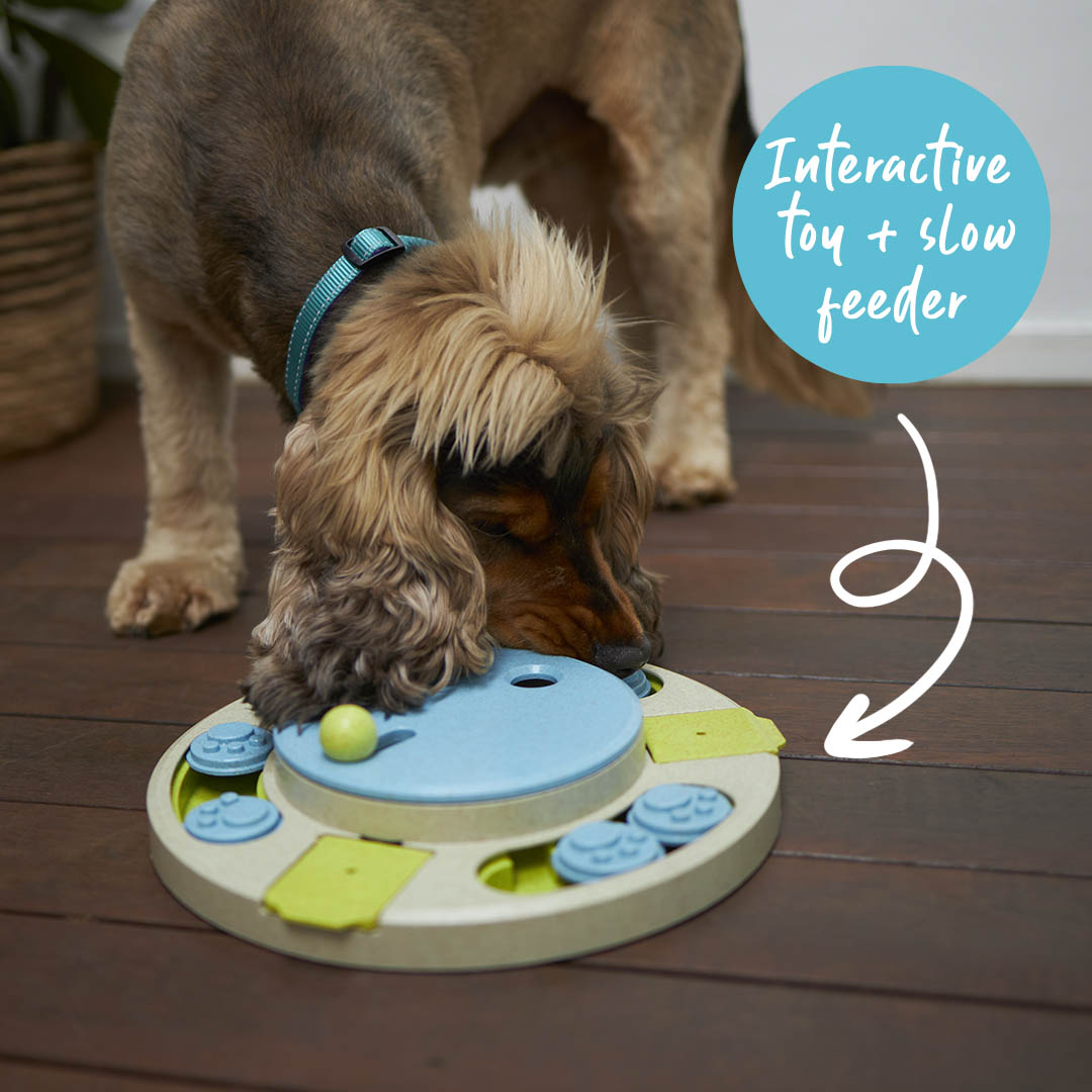 Circle Slider Interactive Dog Puzzle For Play#N#– Kazoo Pet Co