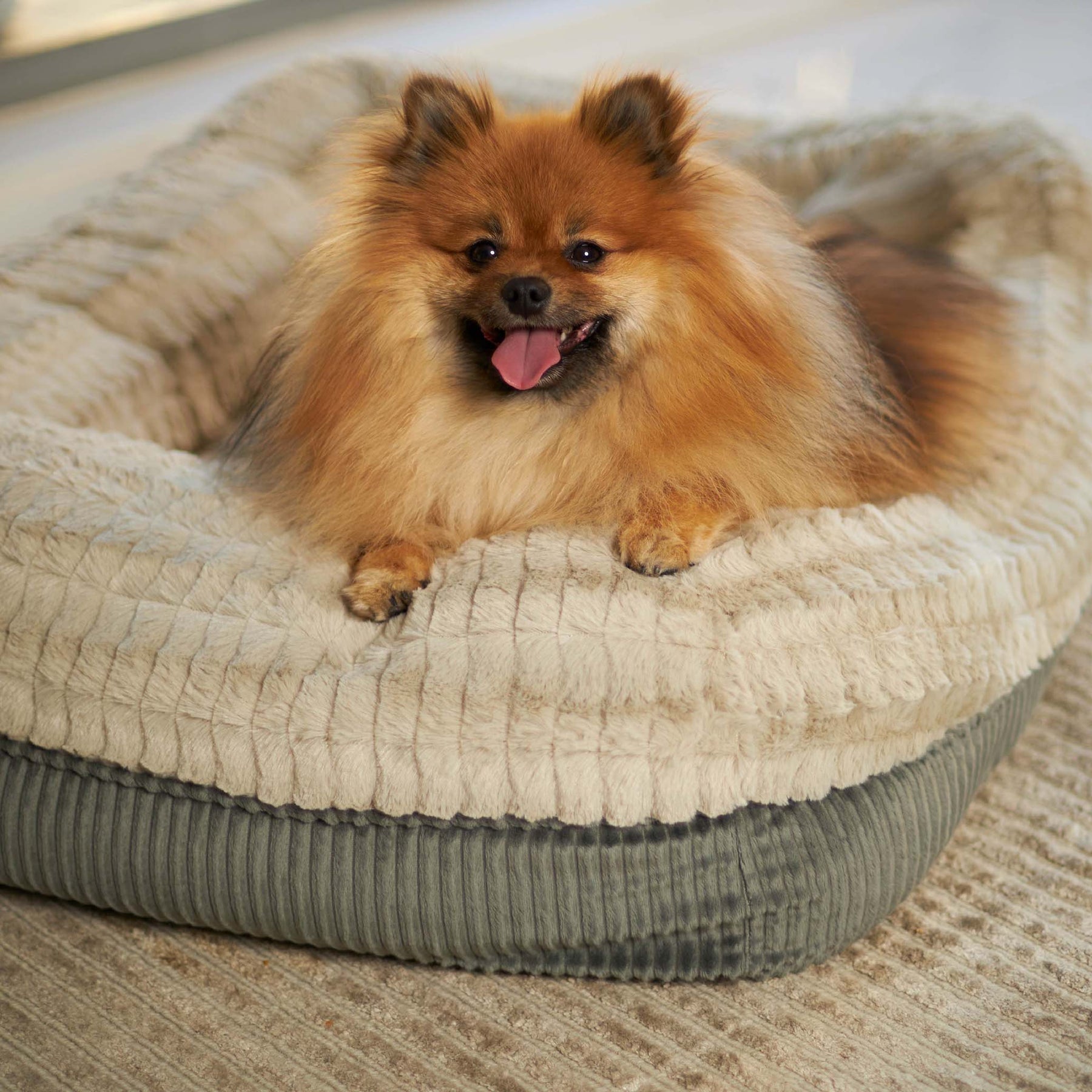 Honey Possum Dog Bed – Kazoo Pet Co