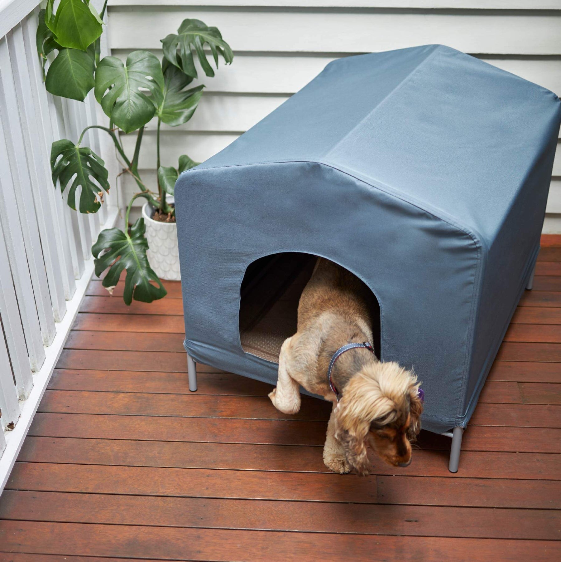 Cabana Dog House – Kazoo Pet Co