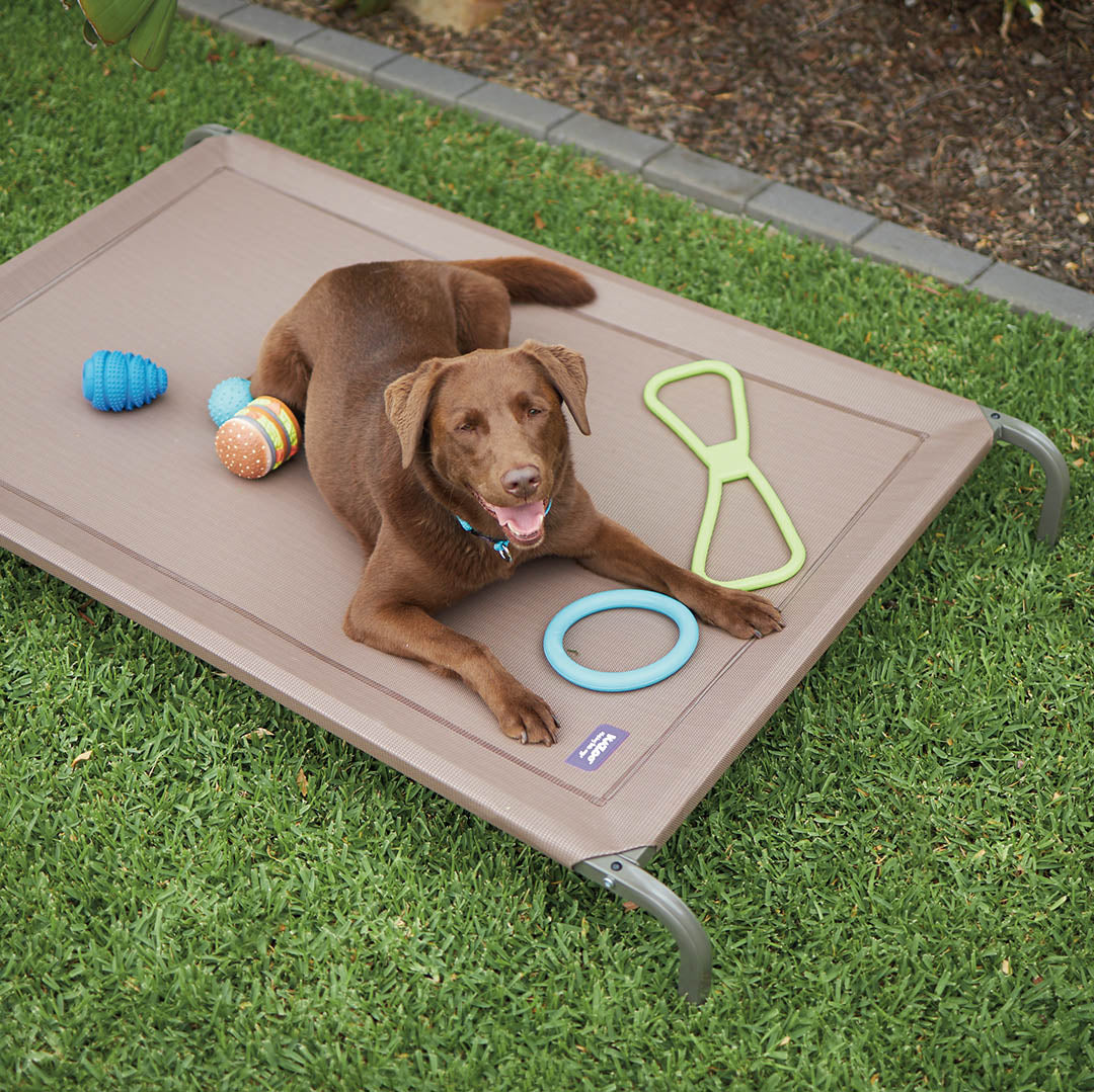 Outdoor Dog Beds | Weatherproof Small & Large Dog Beds | Kazoo Pet Co