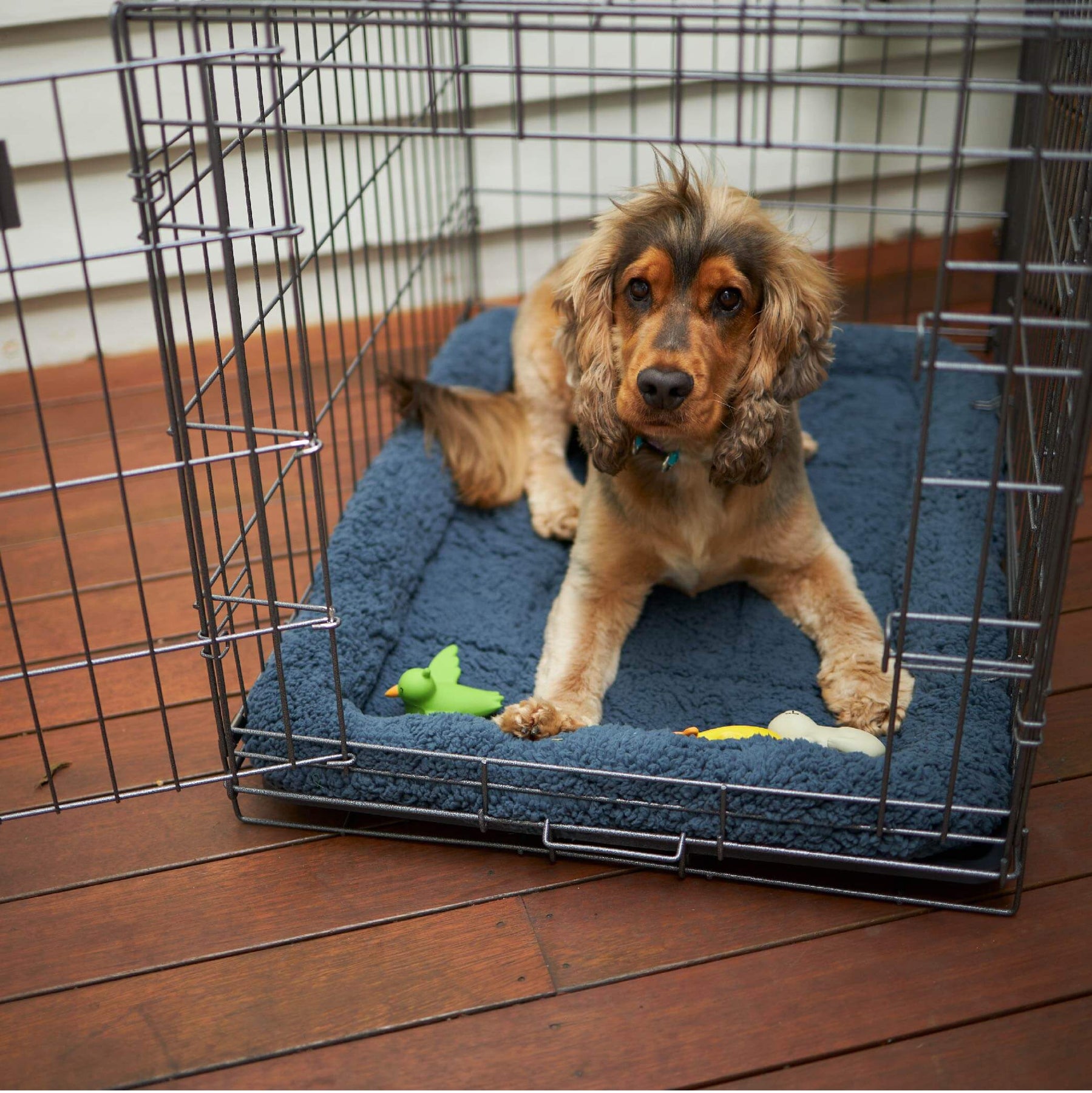 Soft Dog Crate Cushion – Kazoo Pet Co