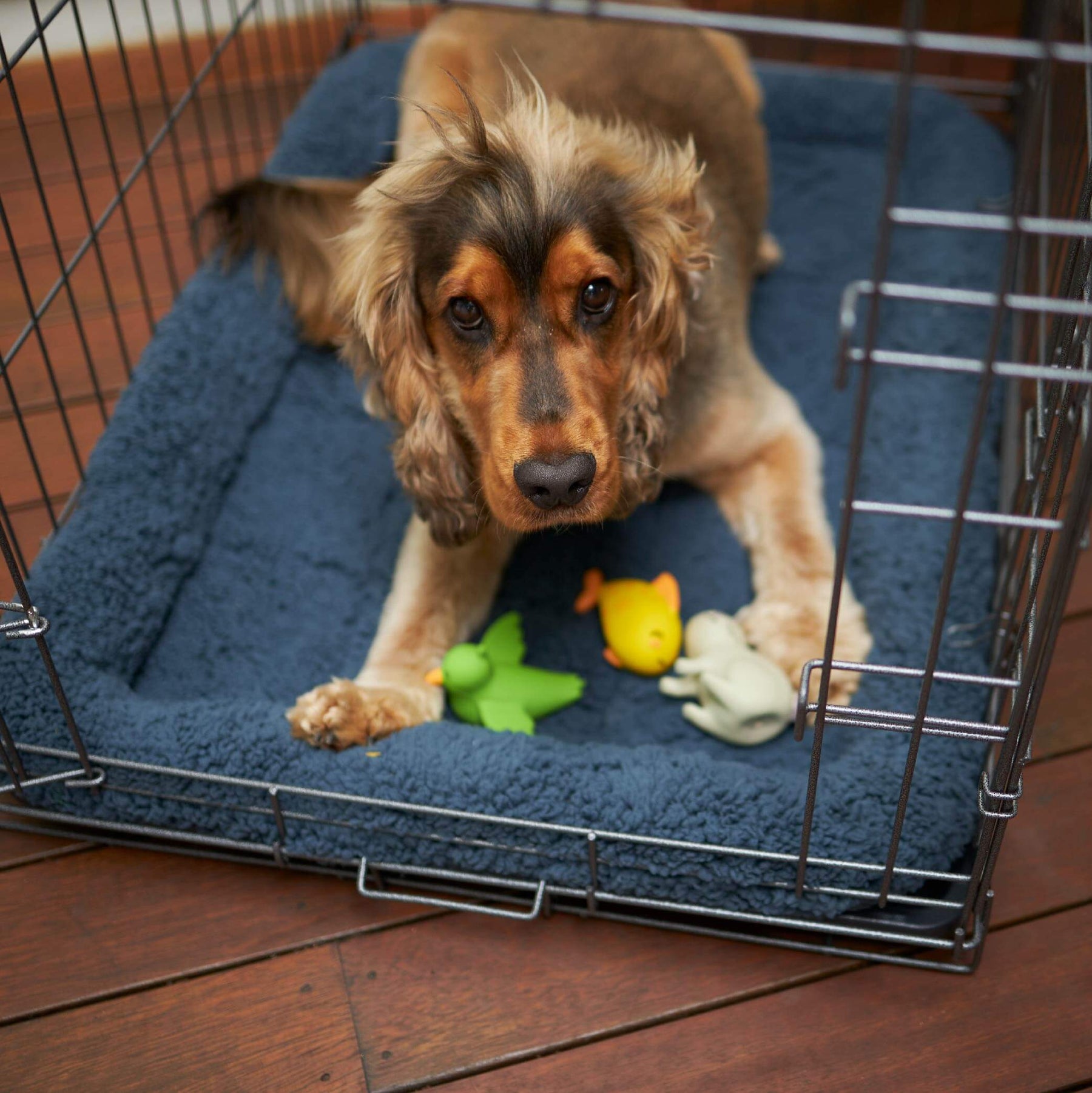 Soft Dog Crate Cushion – Kazoo Pet Co