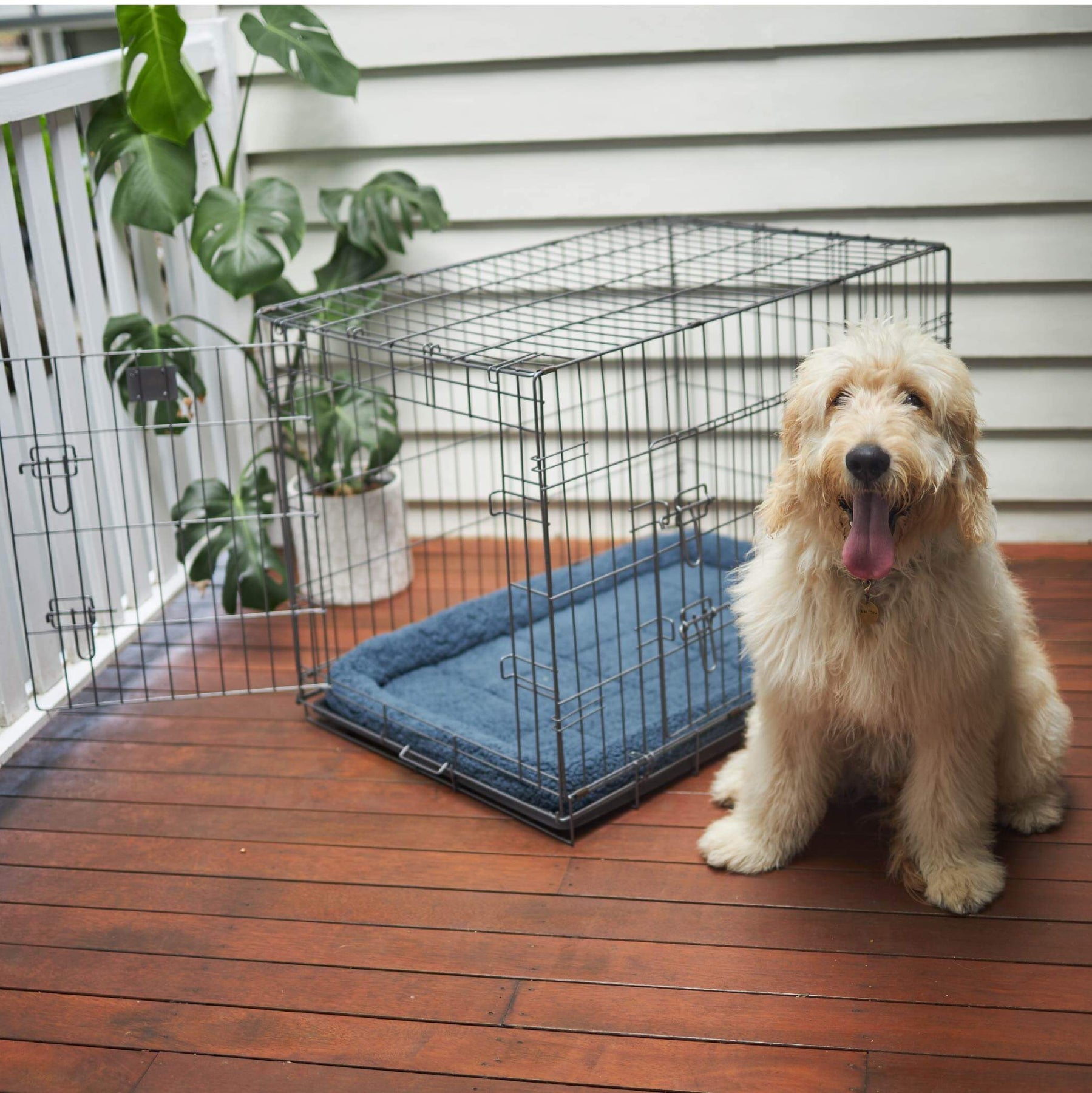 Soft Dog Crate Cushion – Kazoo Pet Co