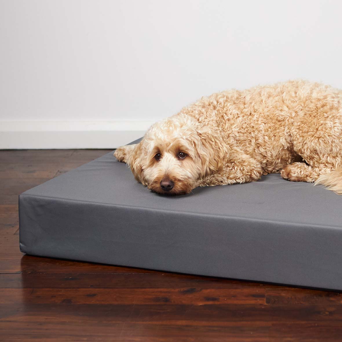 Slumber Dog Bed - Slate – Kazoo Pet Co