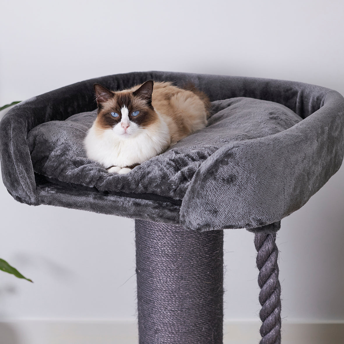 High Bed Cat Scratch Post - Charcoal – Kazoo Pet Co