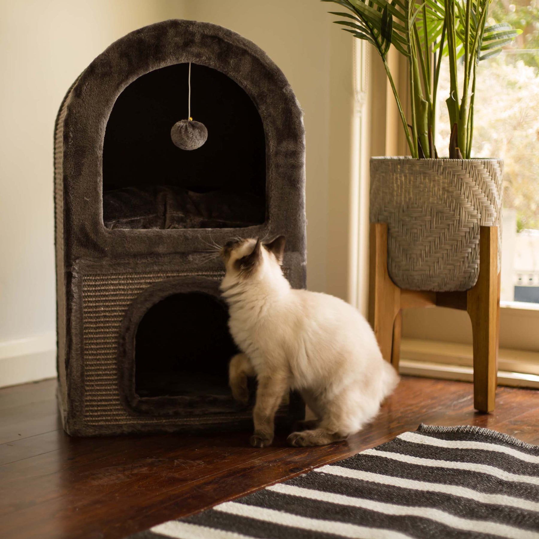 2 Chambers Cat Den - Charcoal – Kazoo Pet Co
